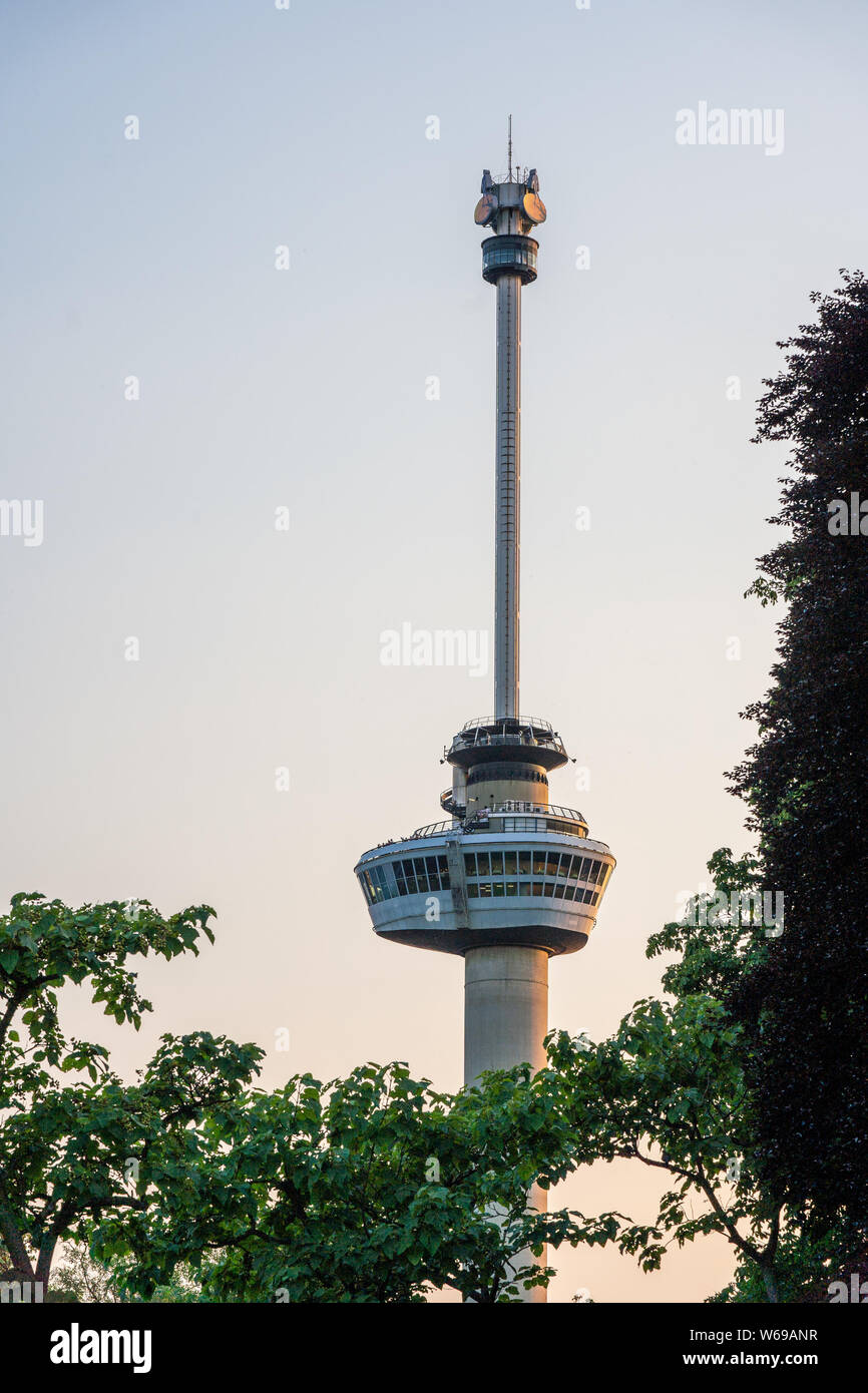 Rotterdam, Netherlands. 29th July, 2019. ROTTERDAM, 28-07-2019 ...