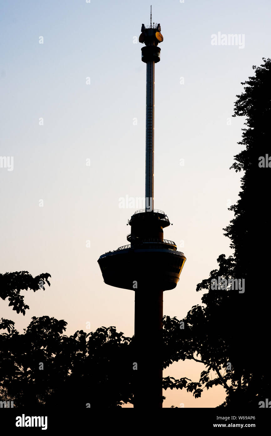 Rotterdam, Netherlands. 29th July, 2019. ROTTERDAM, 28-07-2019 ...
