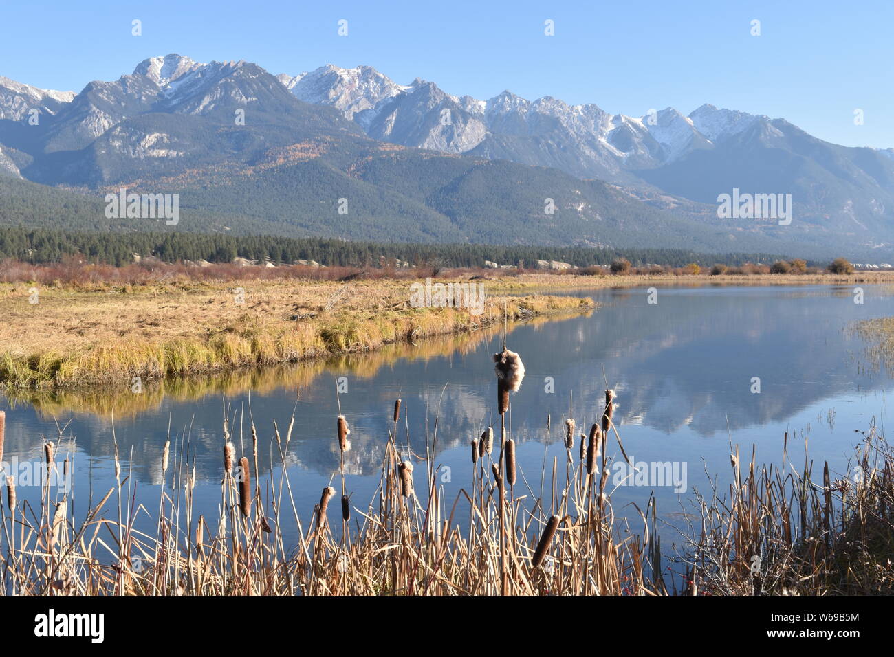 The headwaters of the Columbia River as it meanders through BC's ...