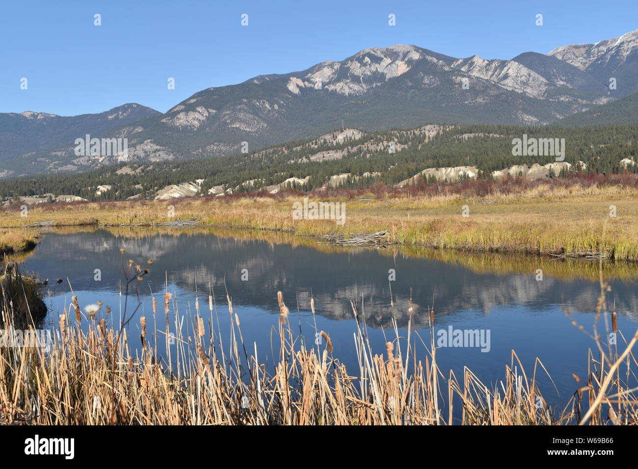 The headwaters of the Columbia River as it meanders through BC's ...