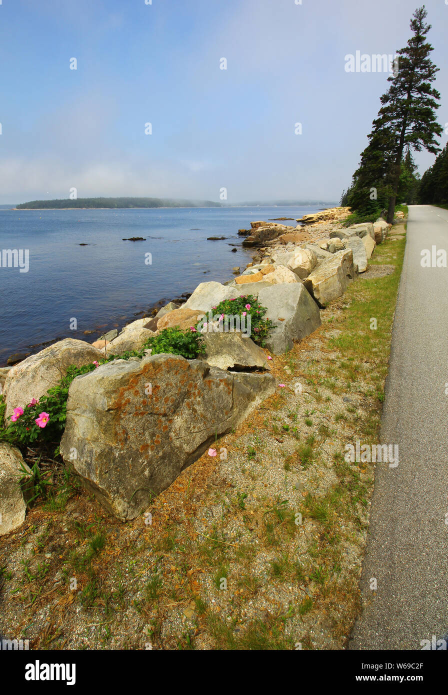 Schoodic loop hi-res stock photography and images - Alamy