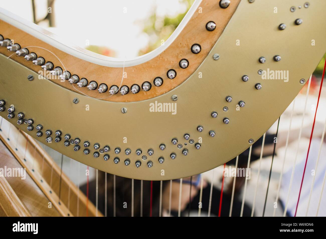 Detail of the strings and mast of a classic harp Stock Photo - Alamy
