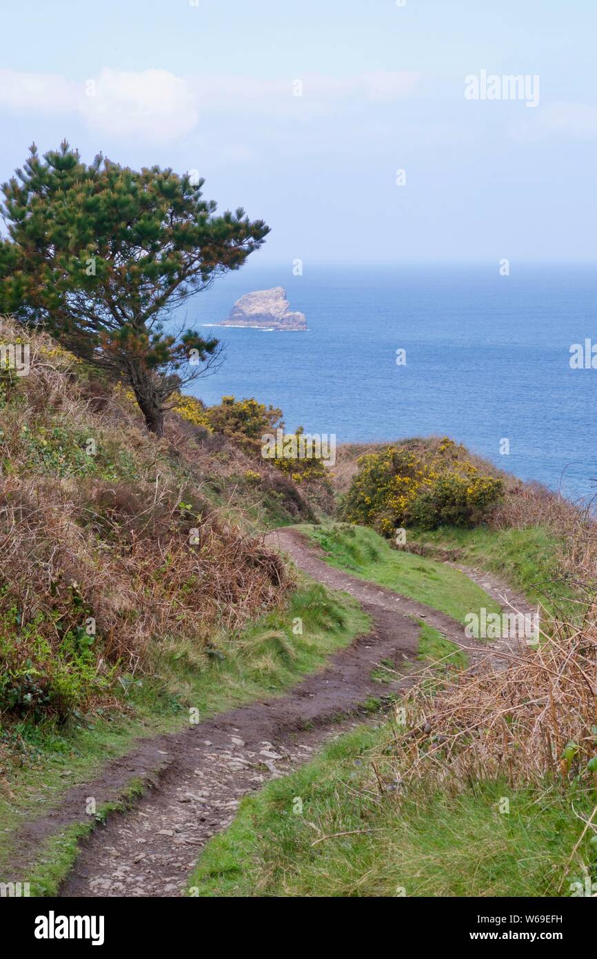 Bawden Rocks in the Sea from the South West Coastal Path along the ...