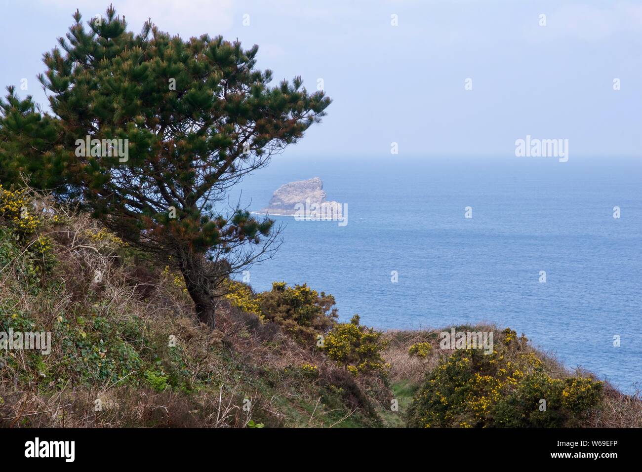 Bawden Rocks in the Sea from the South West Coastal Path along the ...