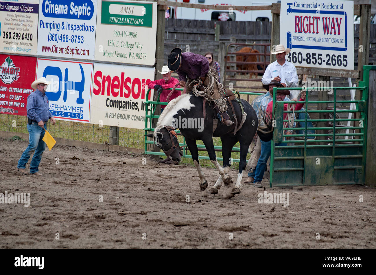 Bucking bronco hi-res stock photography and images - Alamy