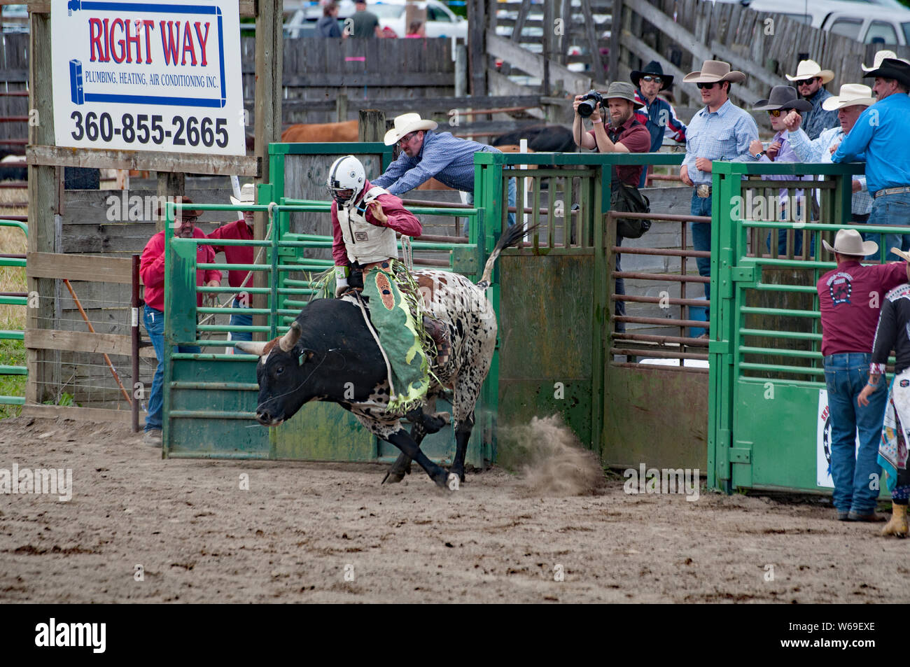 Guy bullrider hi-res stock photography and images - Alamy