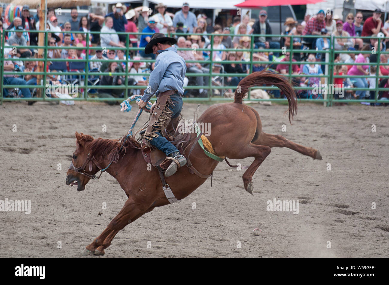 American cowboy in chaps hi-res stock photography and images - Alamy