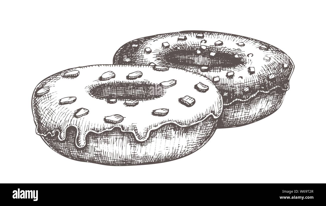 Donut Sweet Breakfast Dessert Hand Drawn Vector Stock Vector Image ...