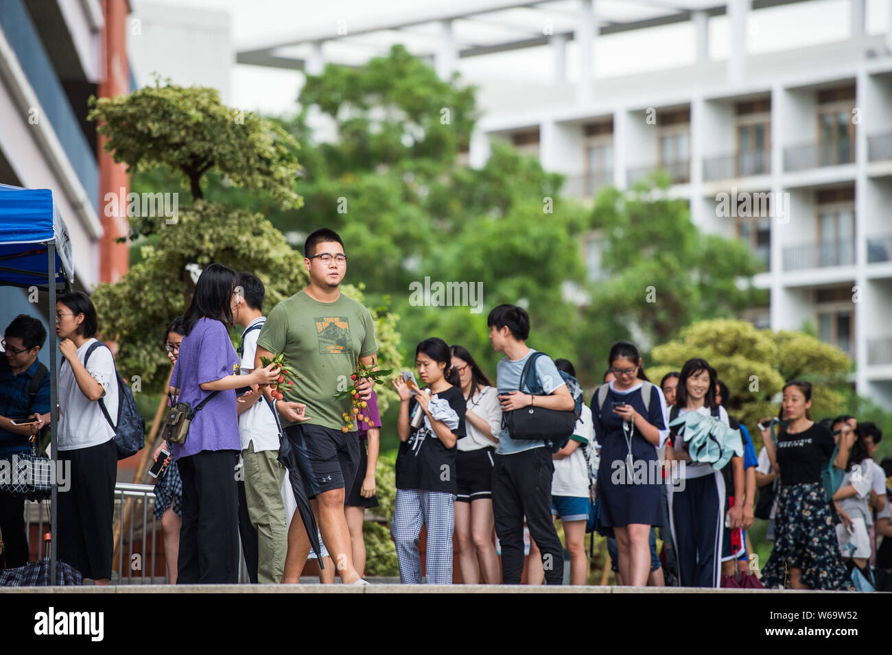 Students queue up to get fresh lychees for free, which are harvested in ...