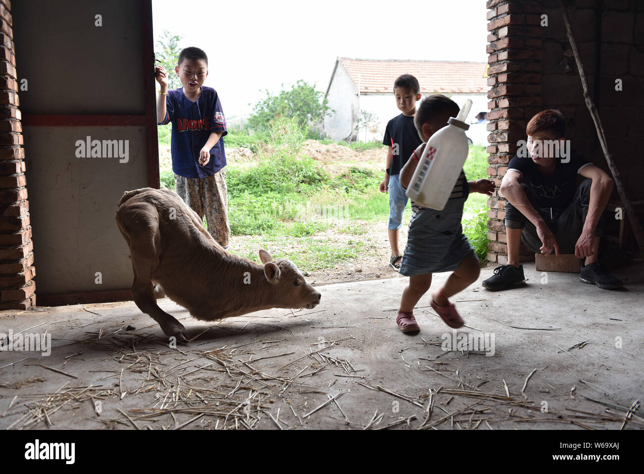 A two-legged calf is pictured at a village in Ju county, Rizhao city ...