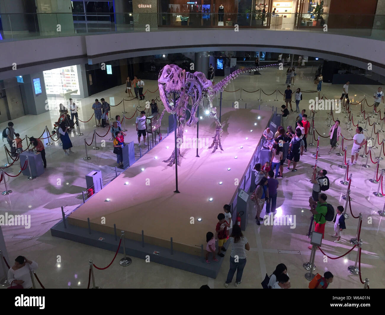 A real fossilized skeleton of a Tyrannosaurus Rex is on display during ...