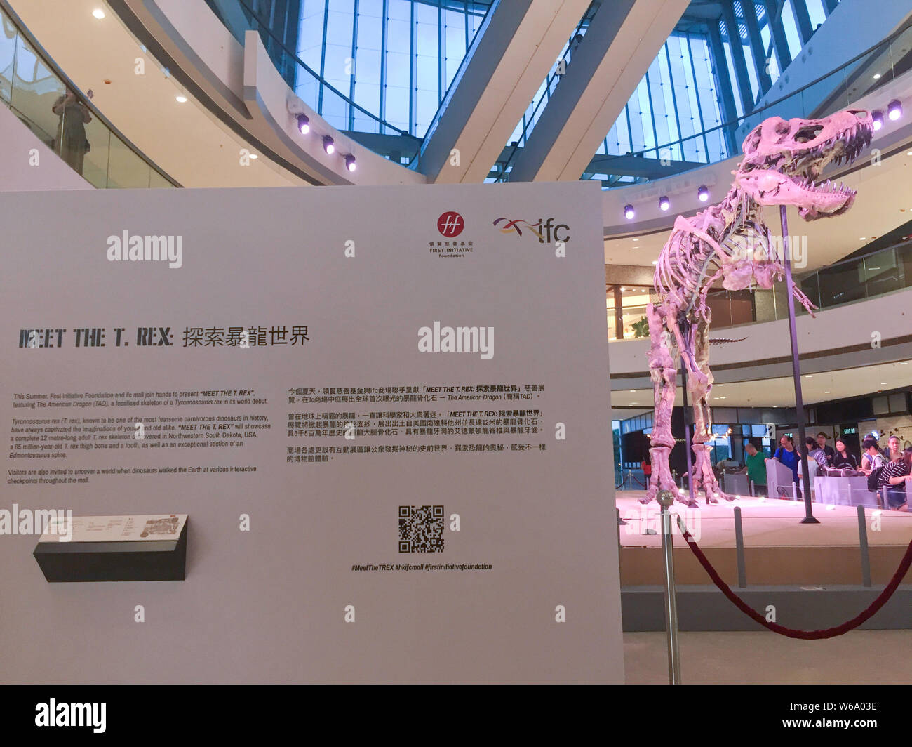 A real fossilized skeleton of a Tyrannosaurus Rex is on display during ...