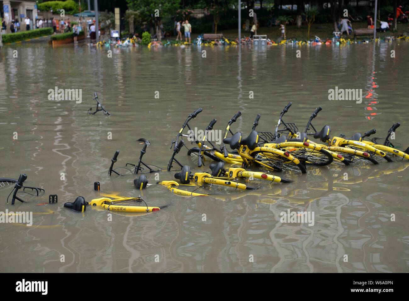 Bicycles of Chinese bike-sharing service ofo are half submerged on a ...