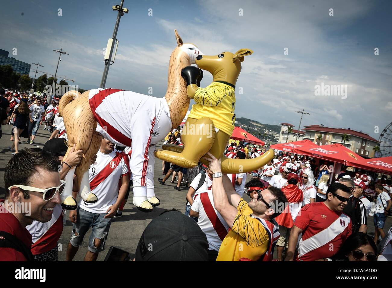 Peru Soccer Fans