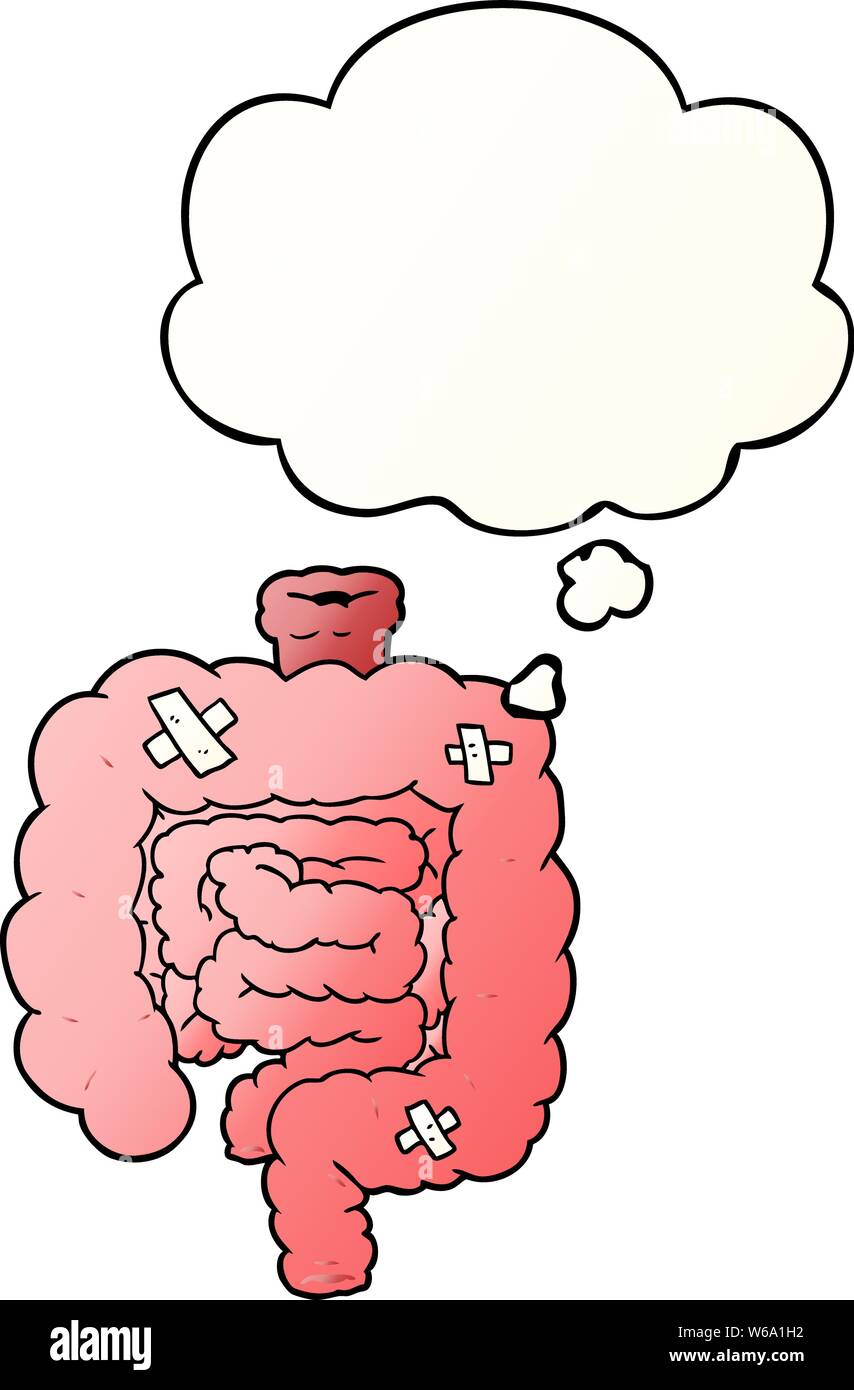 cartoon repaired intestines with thought bubble in smooth gradient ...