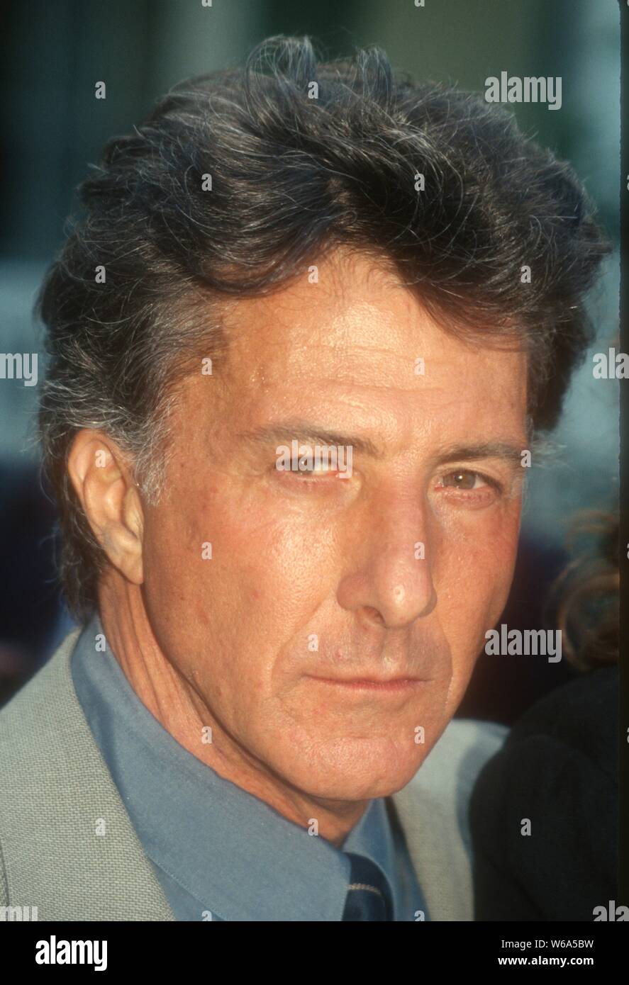 Dustin Hoffman, 1993, Photo By John Barrett/PHOTOlink Stock Photo - Alamy