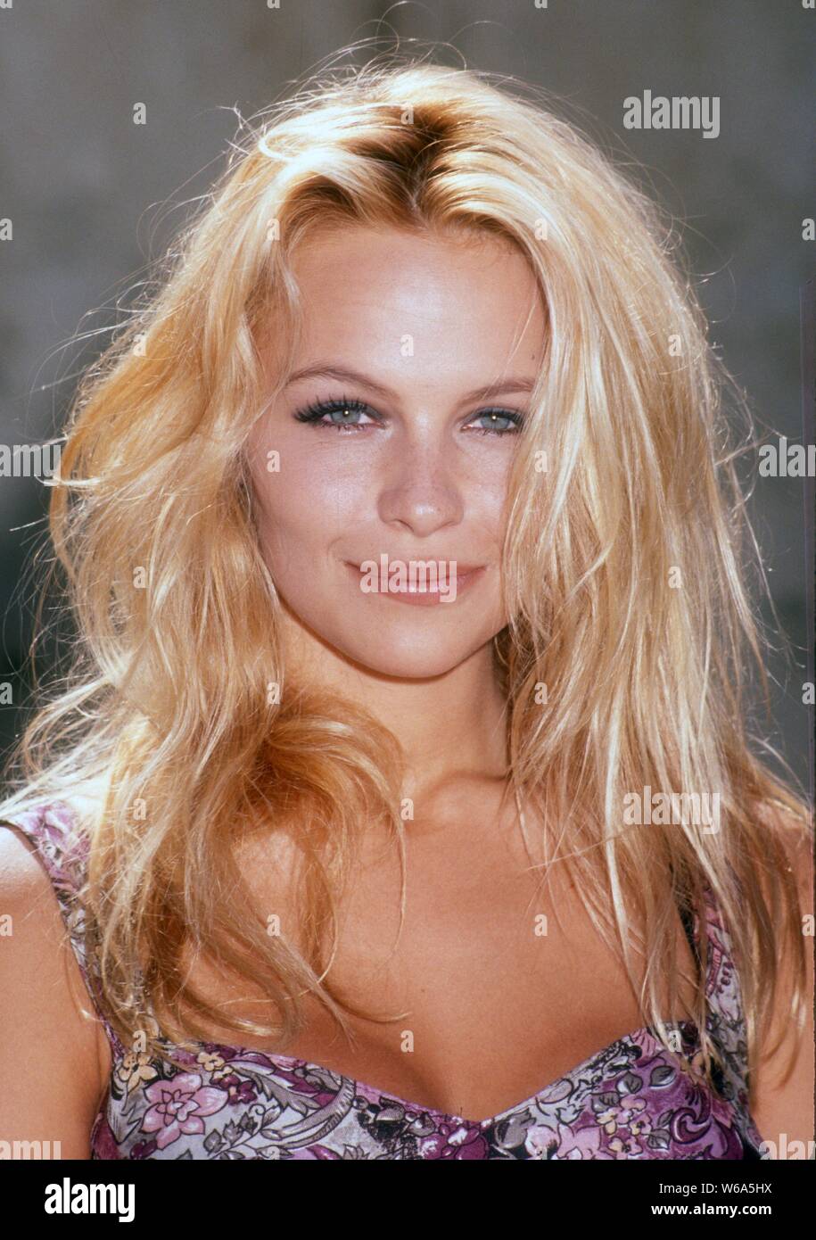 Pam Anderson, 1990s, Photo By Michael Ferguson/PHOTOlink Stock Photo ...