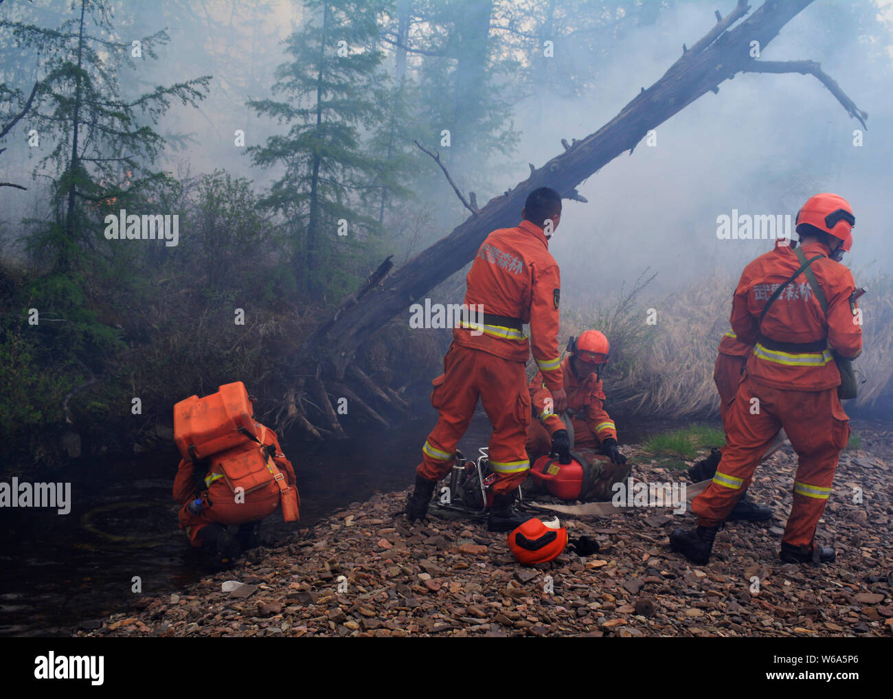 Chinese firefighters extinguish the fire in a forest in Greater Khingan ...