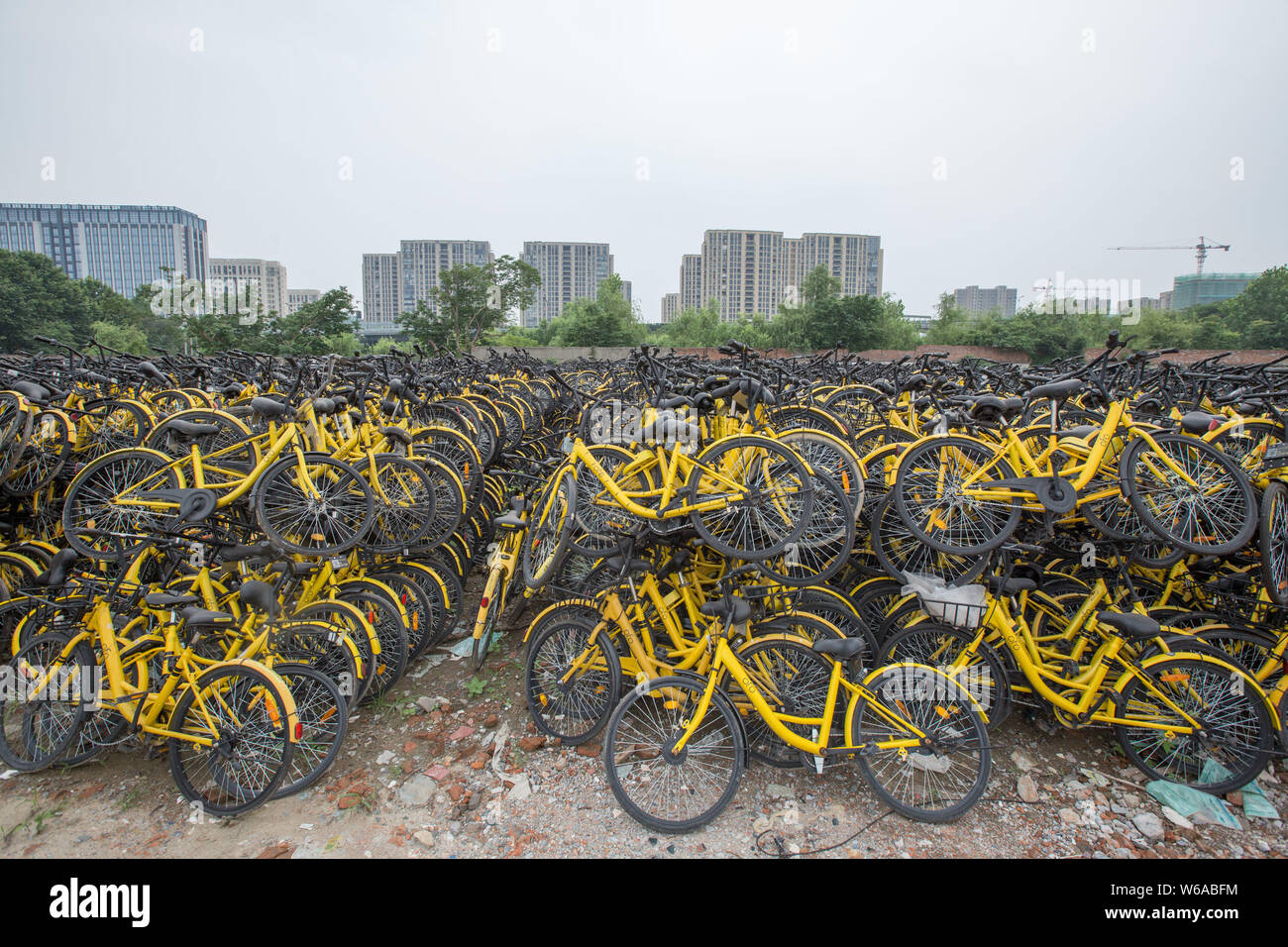 Bicycles of Chinese bike-sharing service ofo are piled up on an open ...