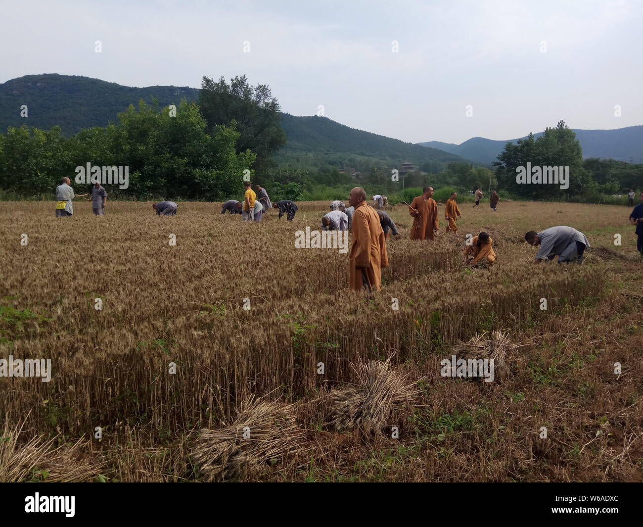 Monks farm hi-res stock photography and images - Alamy