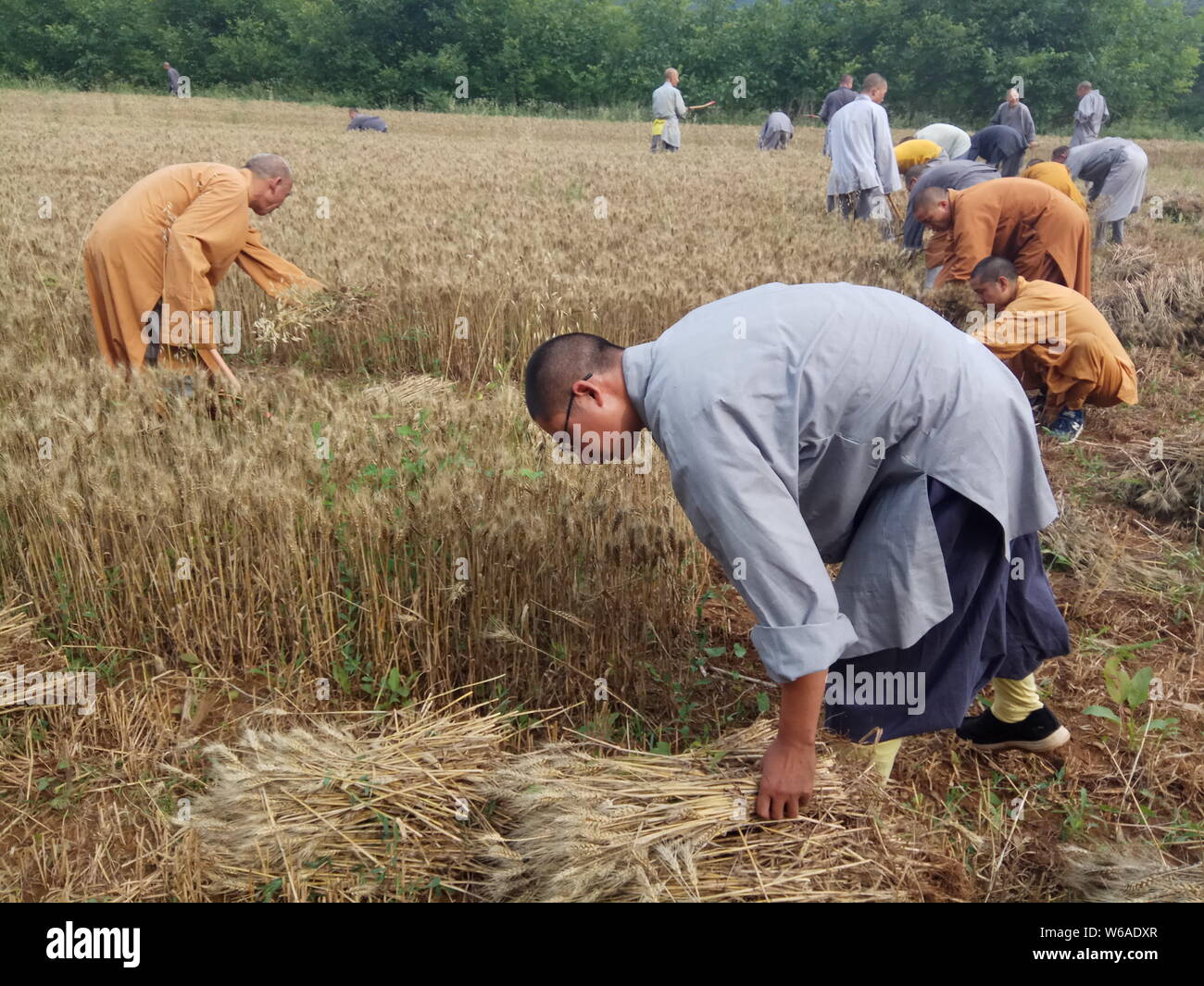 Shaolin monks monk hi-res stock photography and images - Alamy