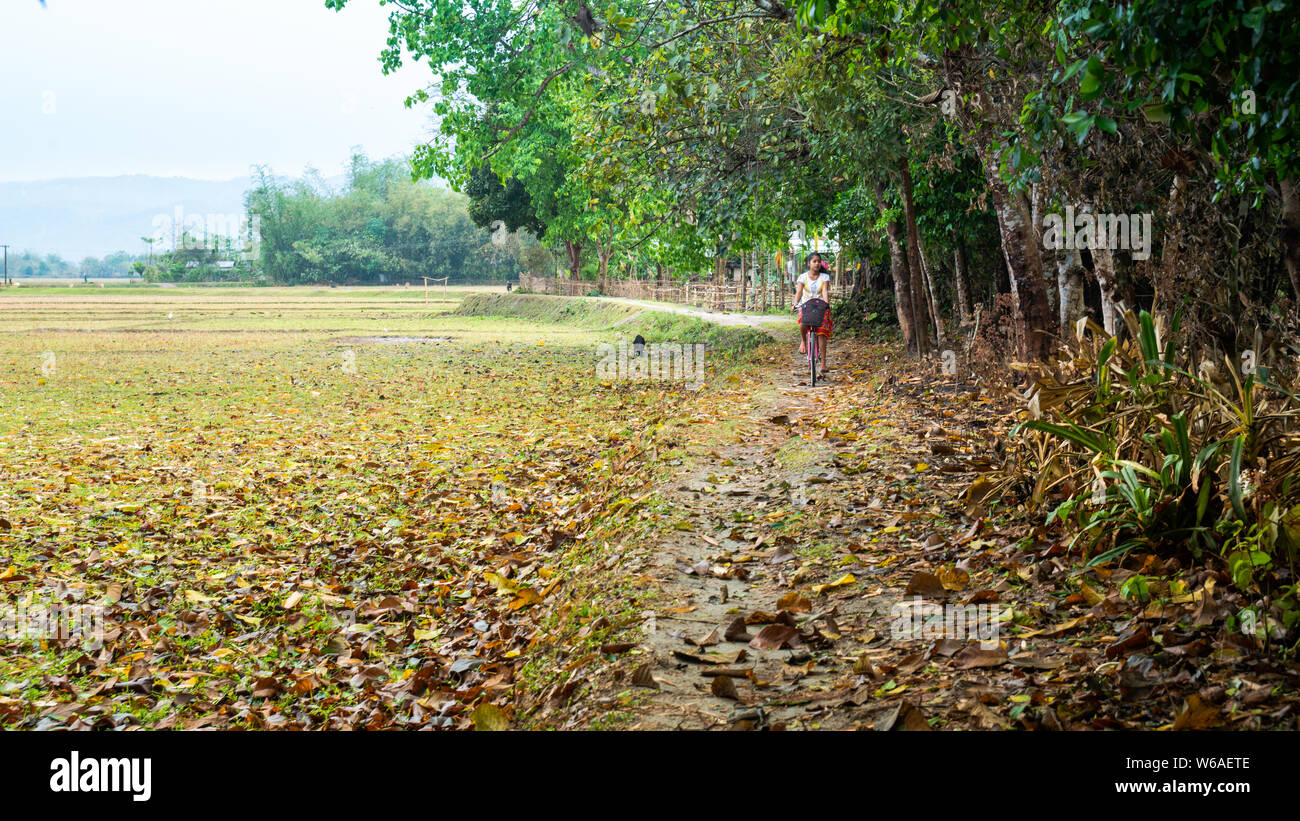 A village in Assam North East India, a rural girl leaving on Bicycle ...