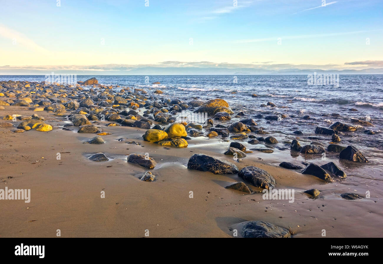 Pacific marine trail hi-res stock photography and images - Alamy