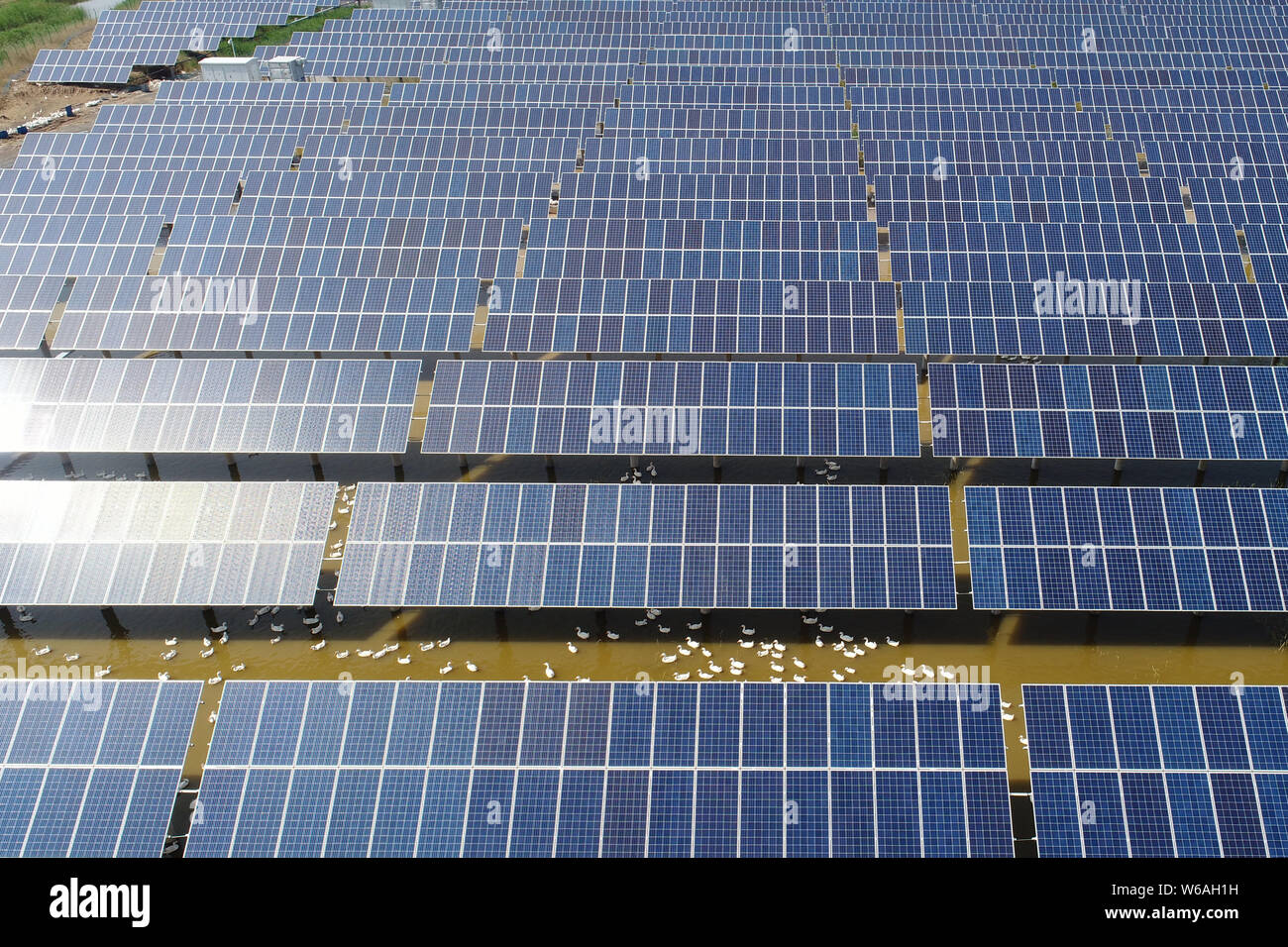 Aerial view of a large solar power plant combining aquaculture with ...