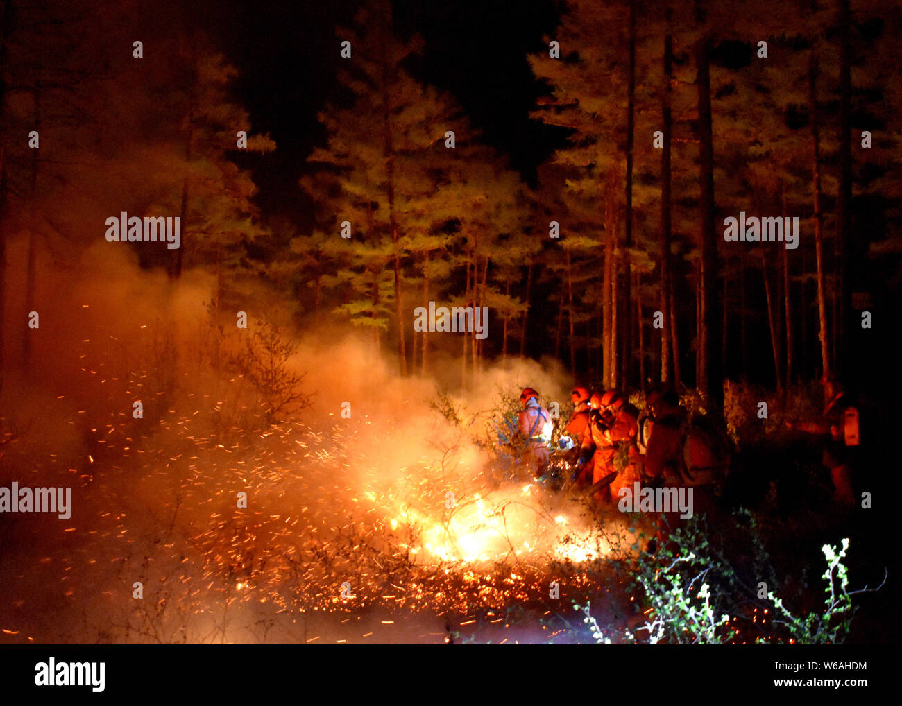 Chinese firefighters extinguish the fire in a forest in Greater Khingan ...