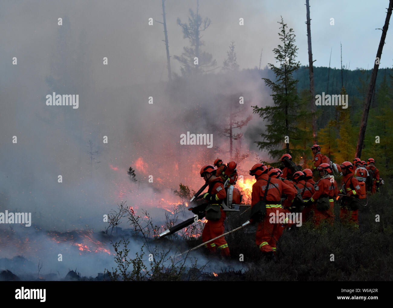 Chinese firefighters extinguish the fire in a forest in Greater Khingan ...