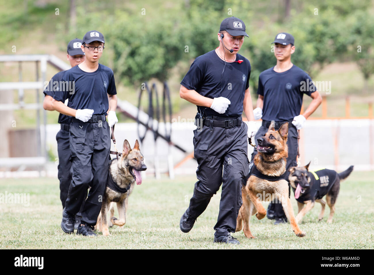 Sniffer dogs take part in a training session to mark International Day ...