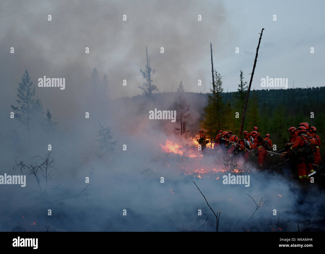 Chinese firefighters extinguish the fire in a forest in Greater Khingan ...