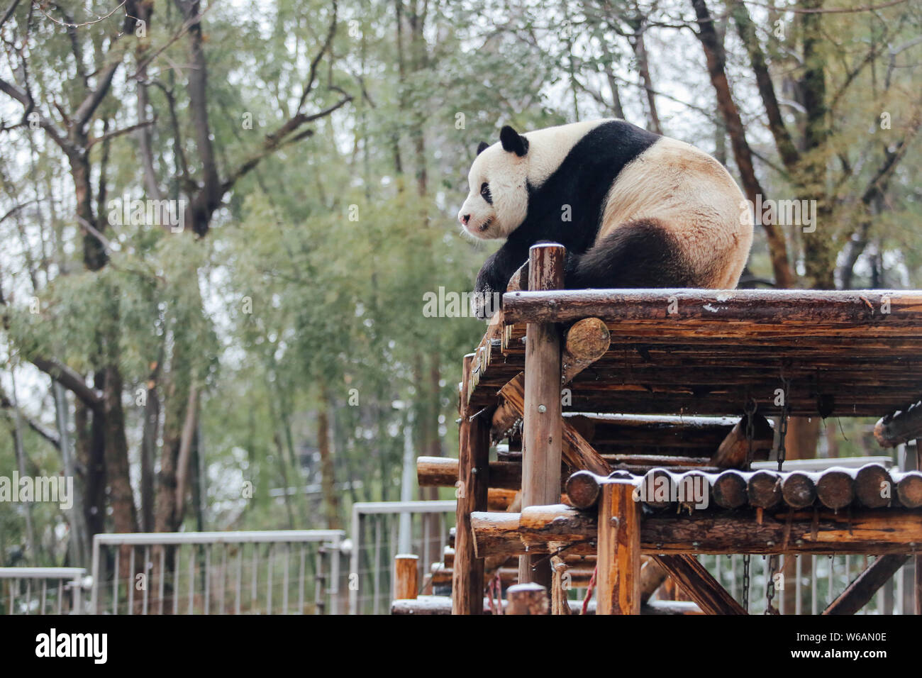 Abus High Resolution Stock Photography and Images - Alamy