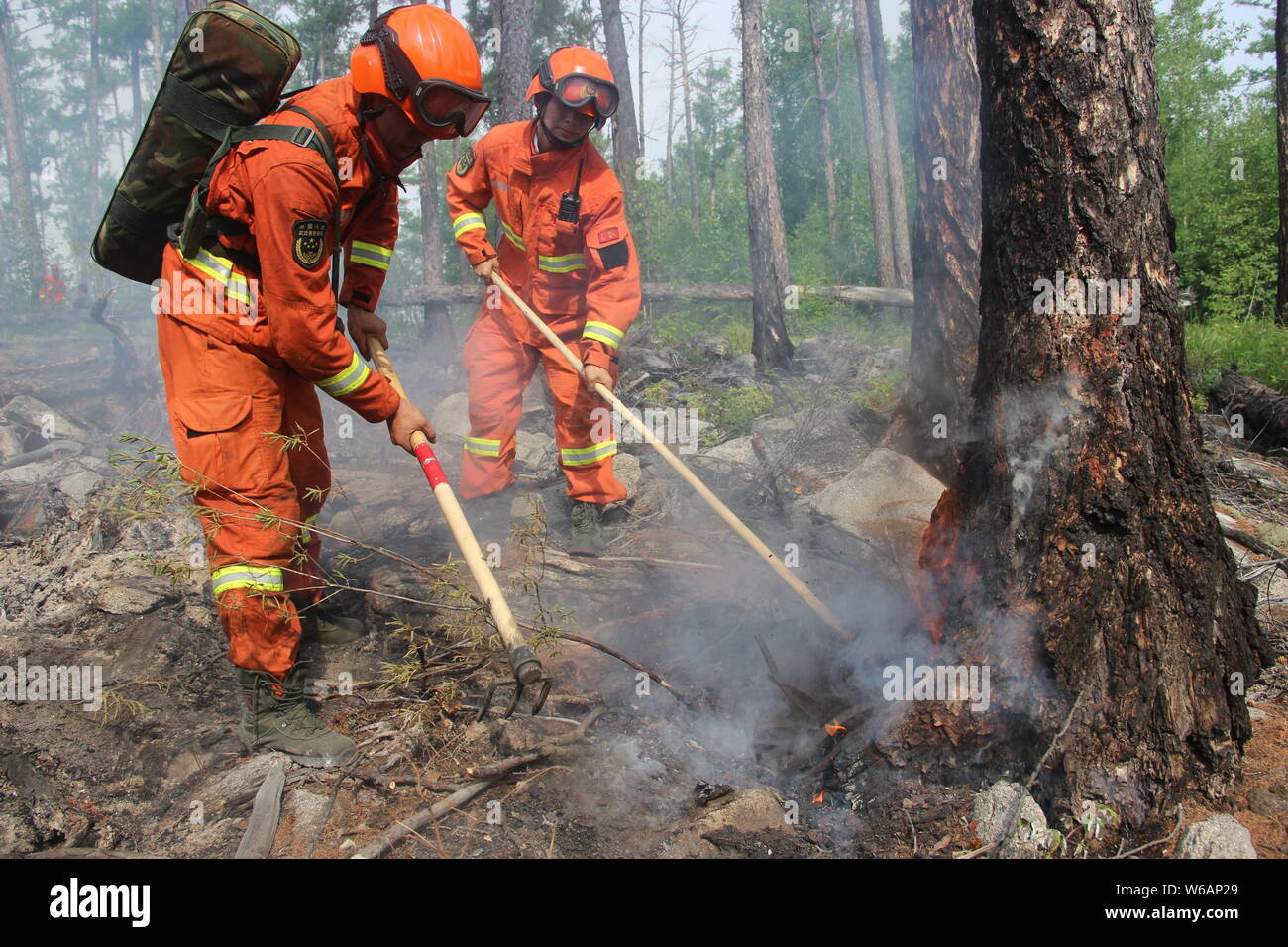 Chinese firefighters extinguish the fire in a forest in Greater Khingan ...