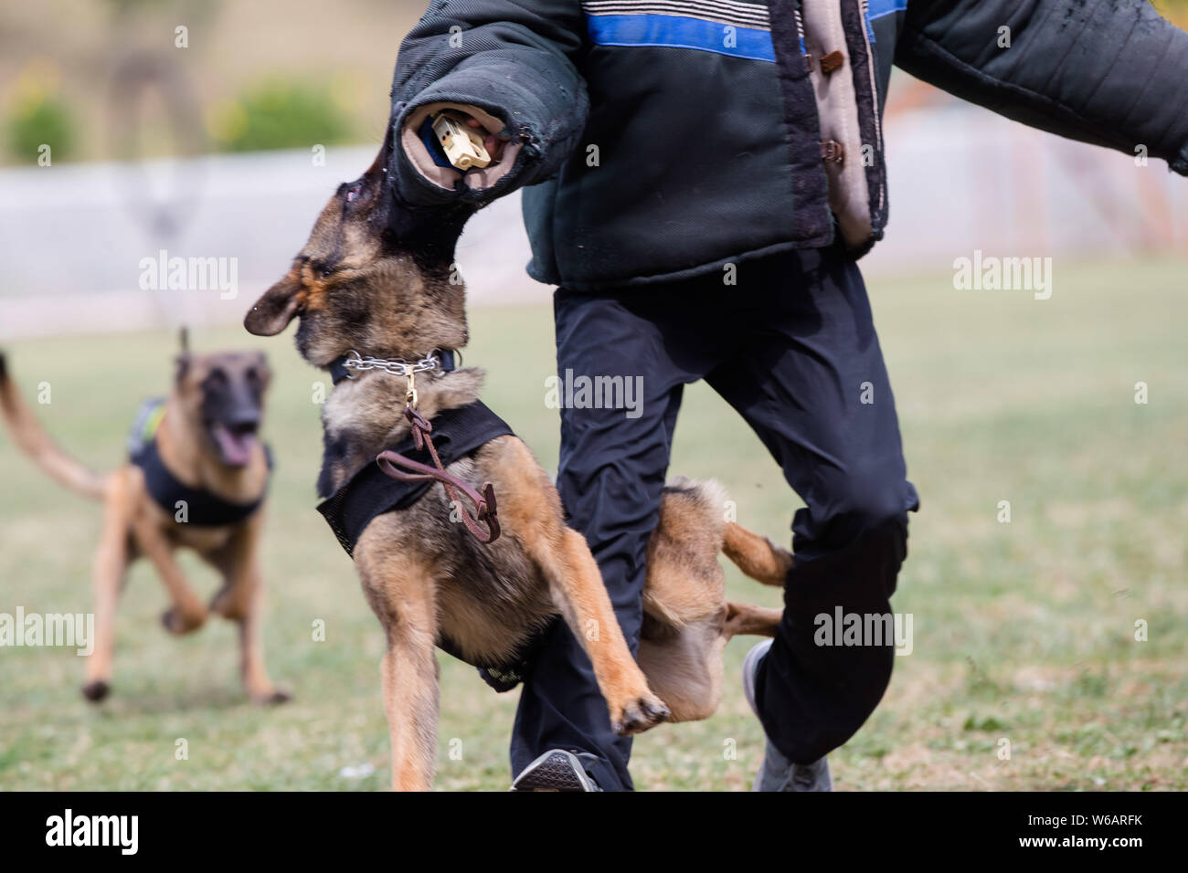 Anti drug training hi-res stock photography and images - Alamy