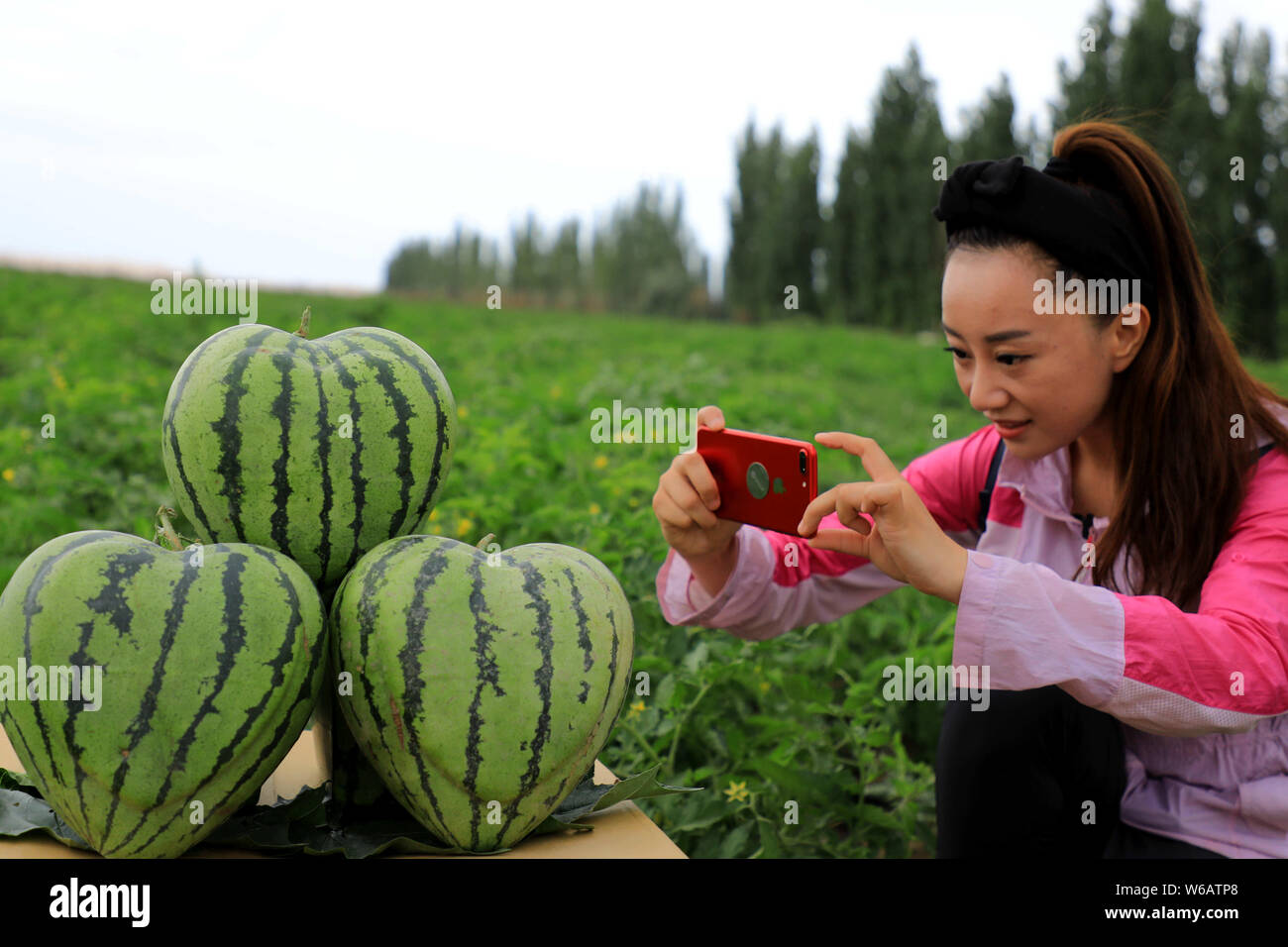 A tourist takes photos of watermelons featuring the shape of heart in ...