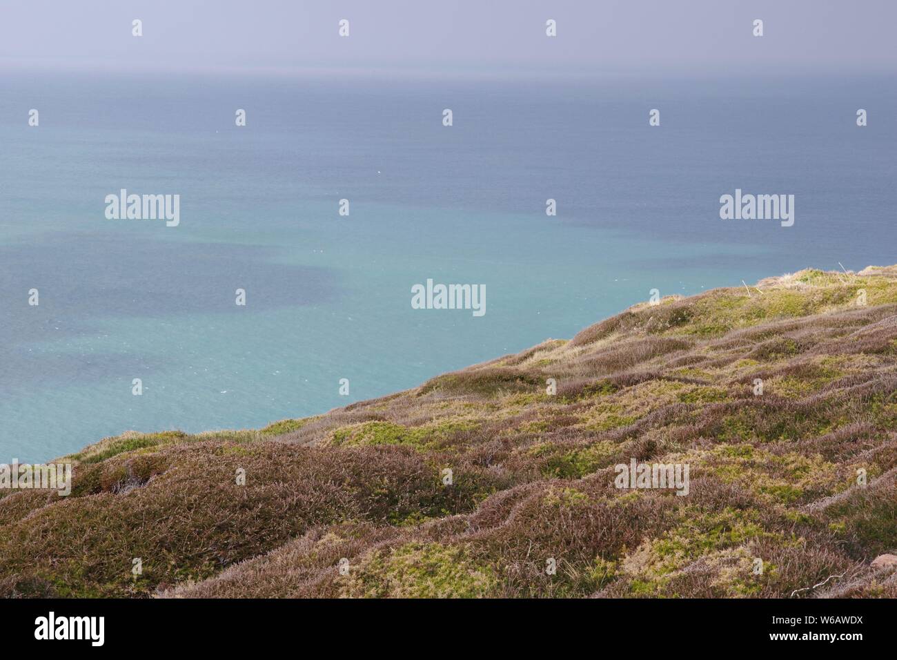 Coastal Heathland on an Overcast Spring Day at St Agnes Head, AONB ...