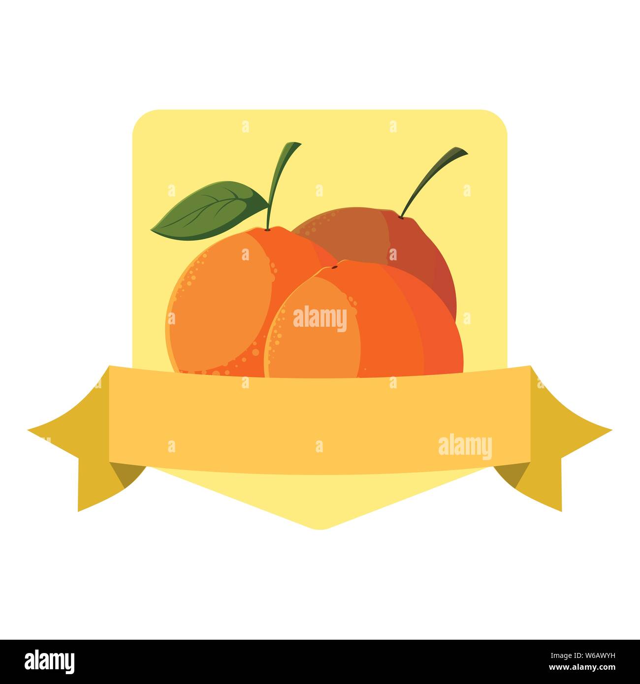 oranges fresh fruits and vegetables vector illustration Stock Vector ...