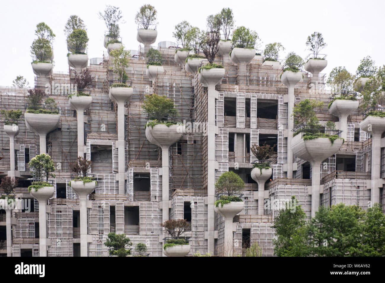 A view of high-rise buildings with terraces of different heights ...