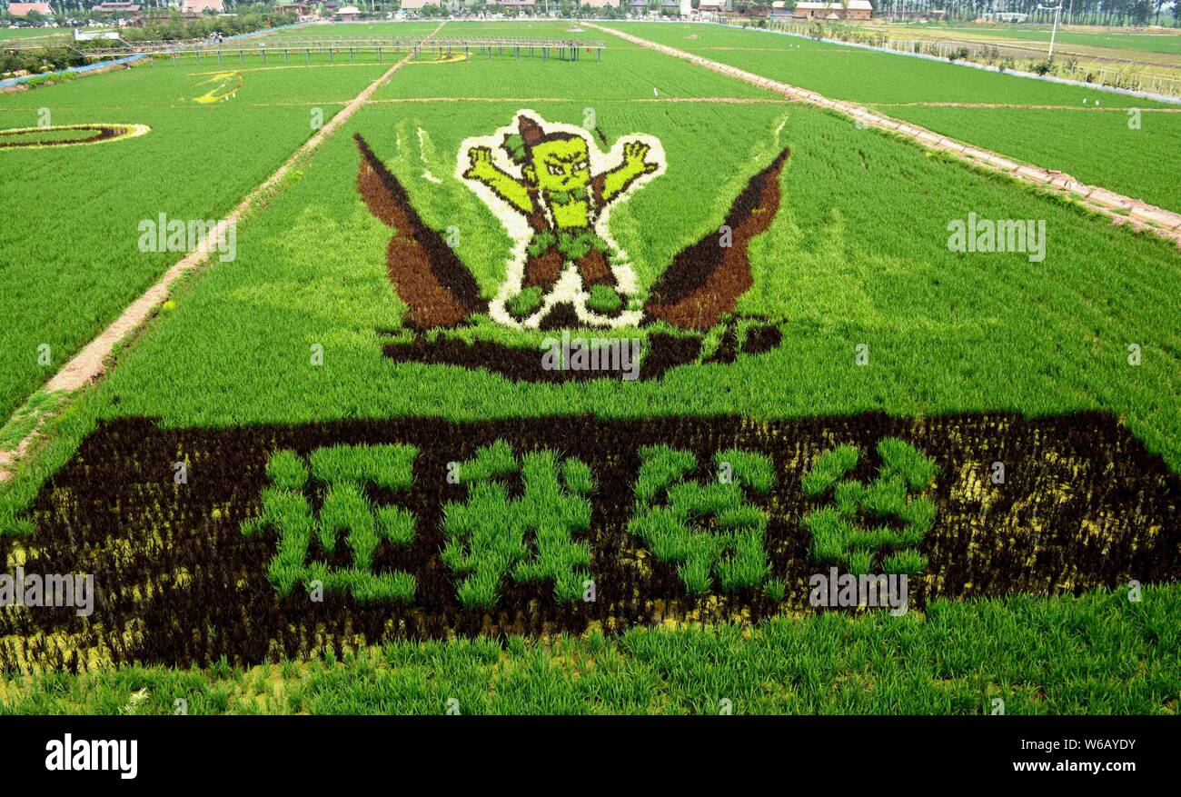 A 3D rice paddy painting of Chinese animation TV series Calabash ...