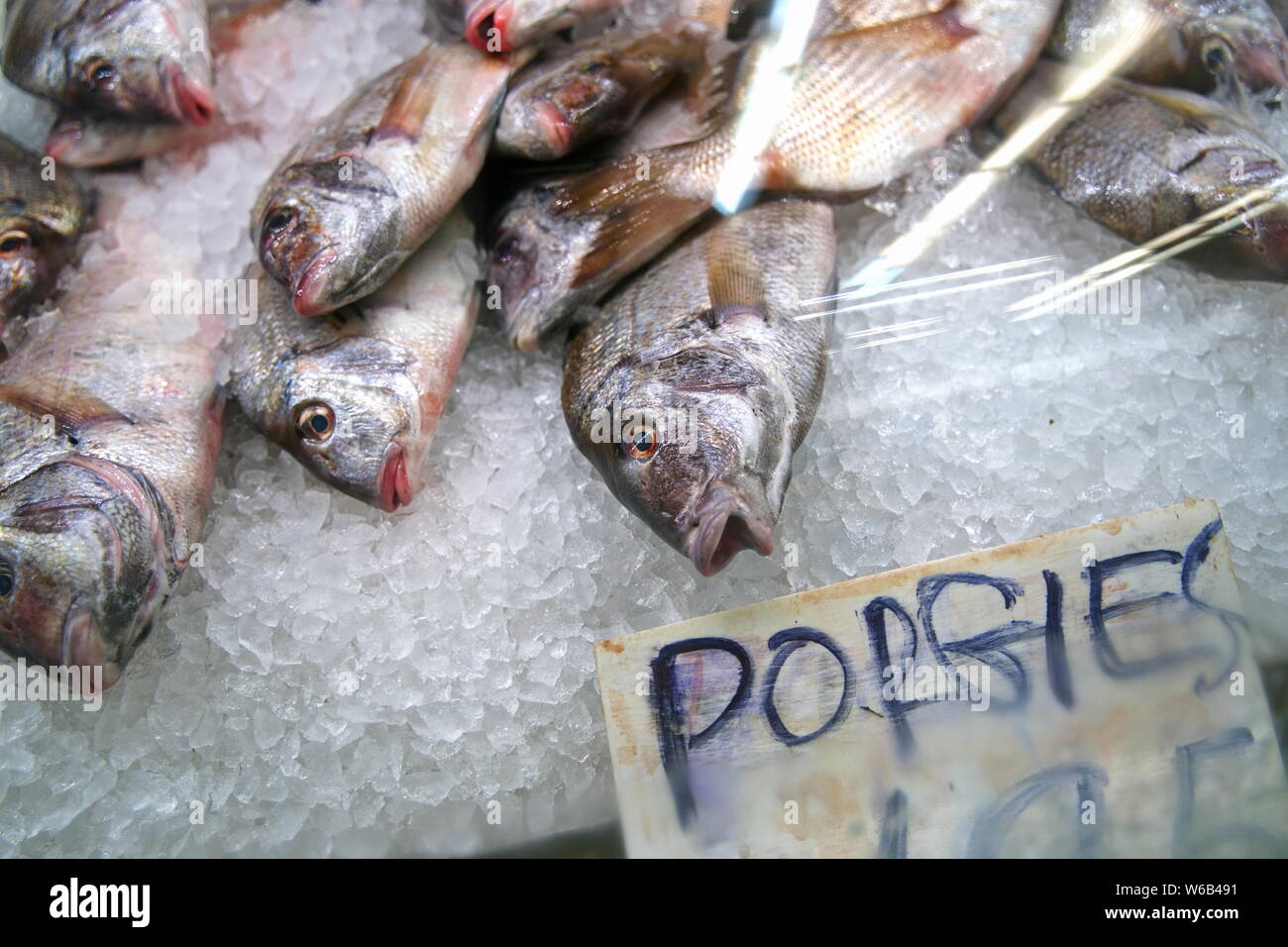 Frozen porgies behind glass counter at the supermarket Stock Photo - Alamy