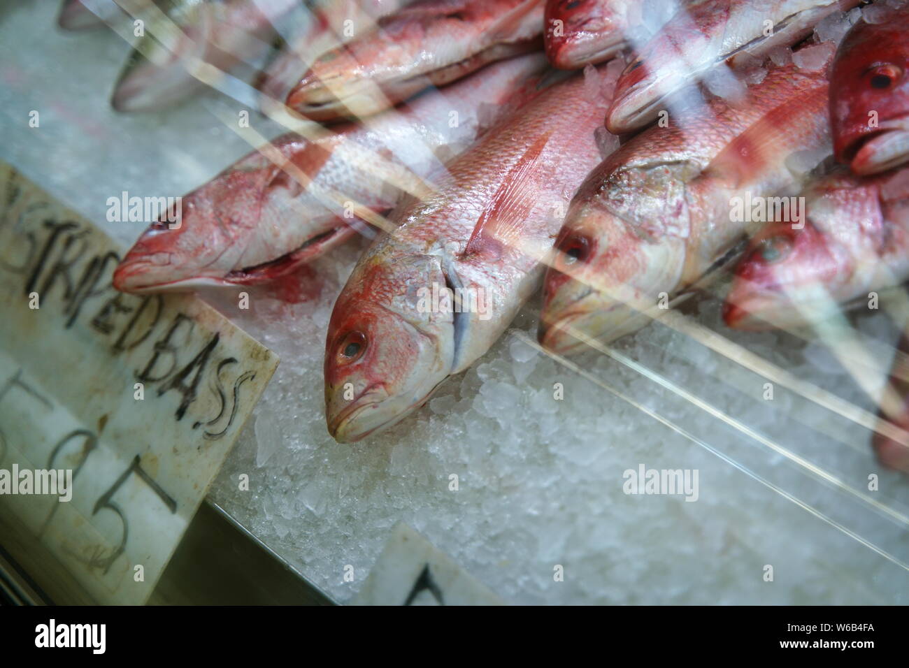 Frozen striped bass behind glass counter at the supermarket Stock Photo ...