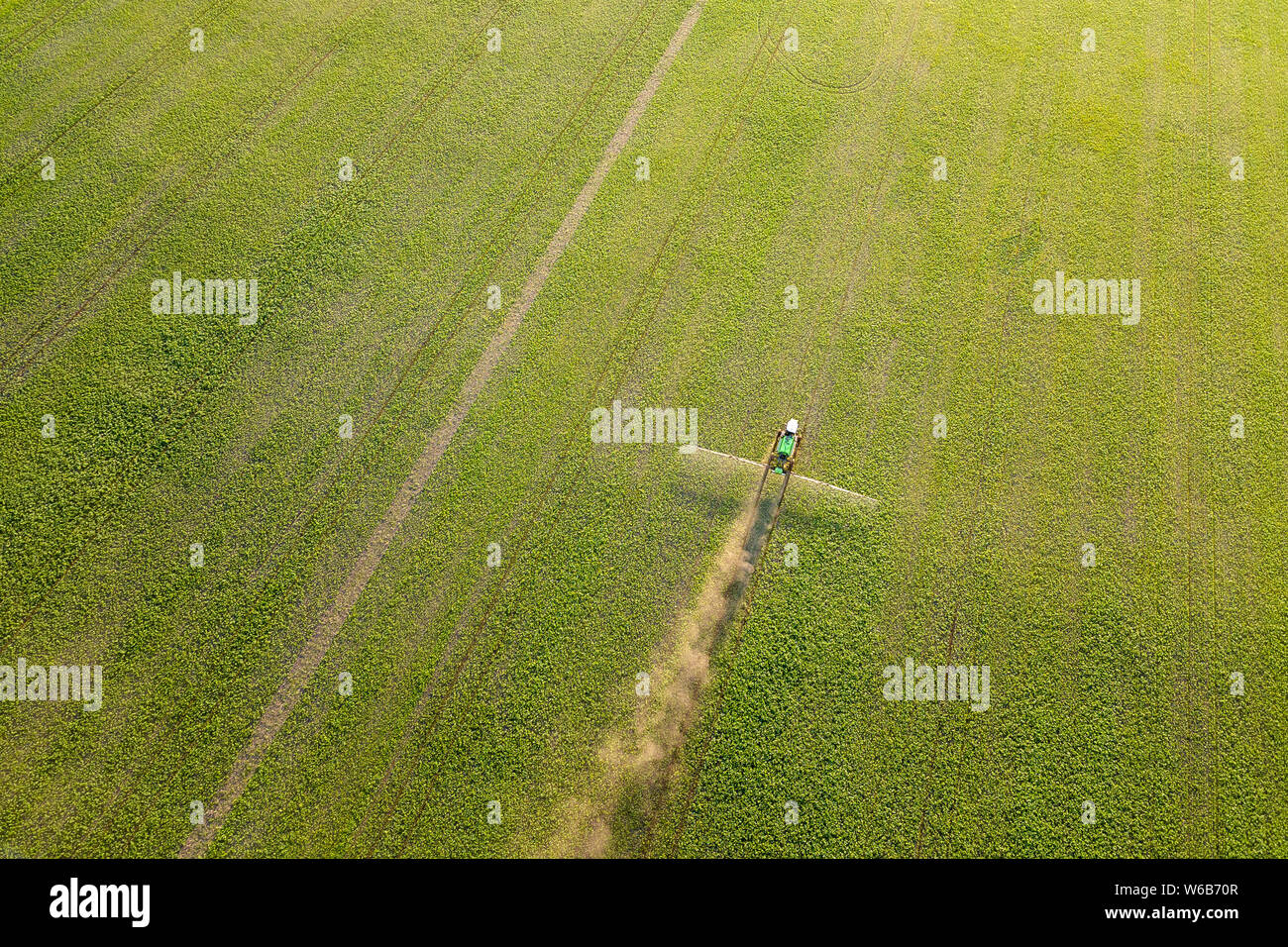 Aerial view of a farm tractor in a green field during spraying and for ...