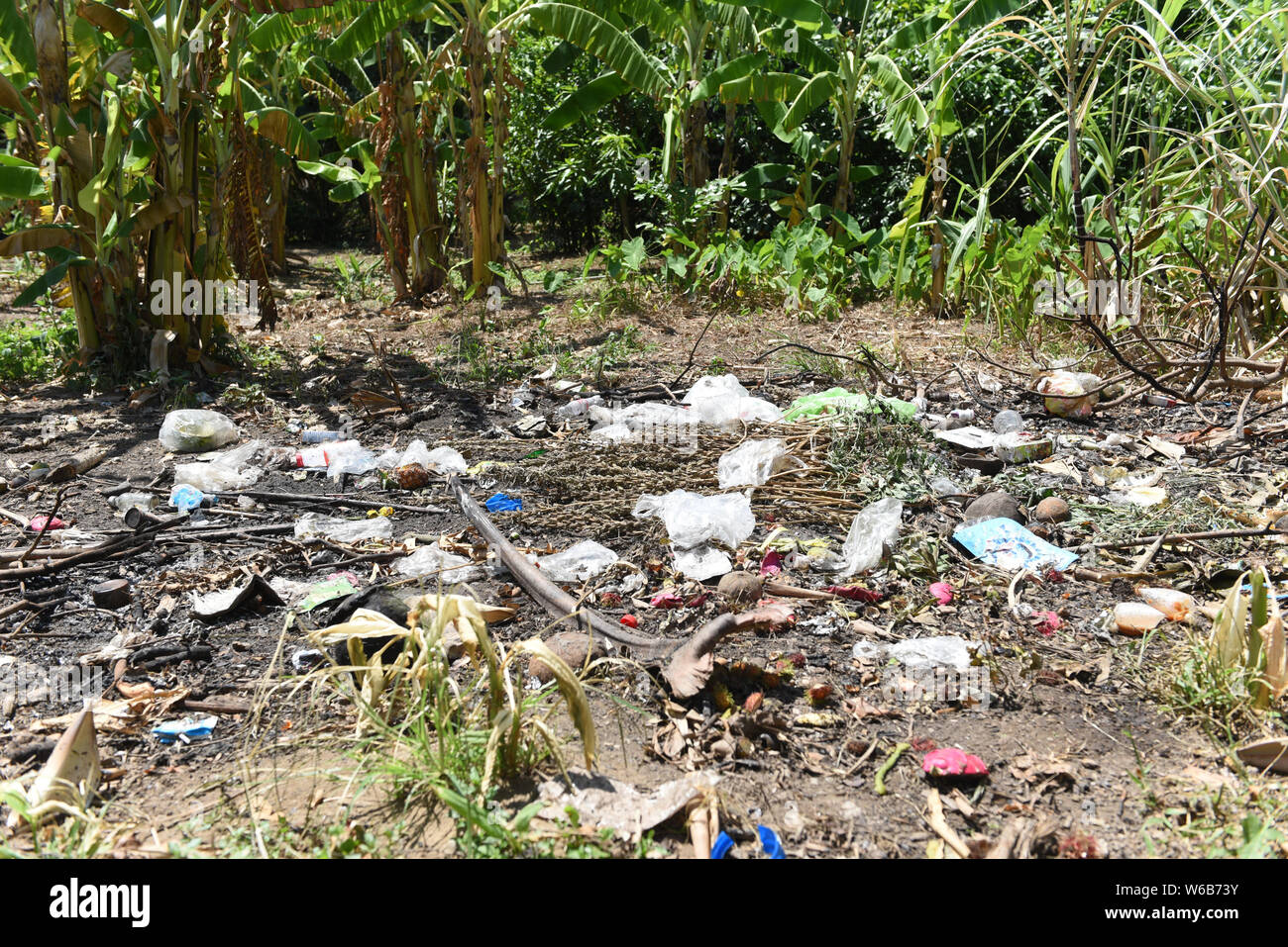 Garbage in the park spilled garbage on ground of the big city used ...