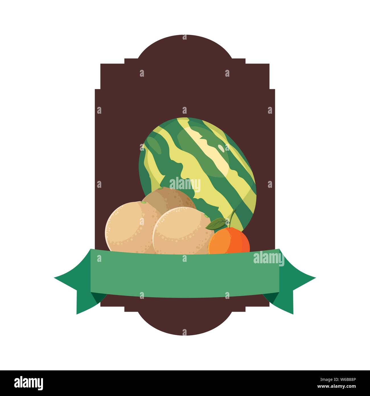 watermelon melons and orange fresh fruits and vegetables vector ...