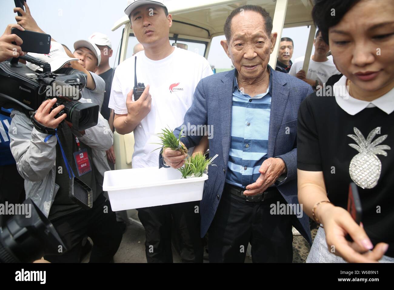 Chinese scientist Yuan Longping, known as China's "father of hybrid ...