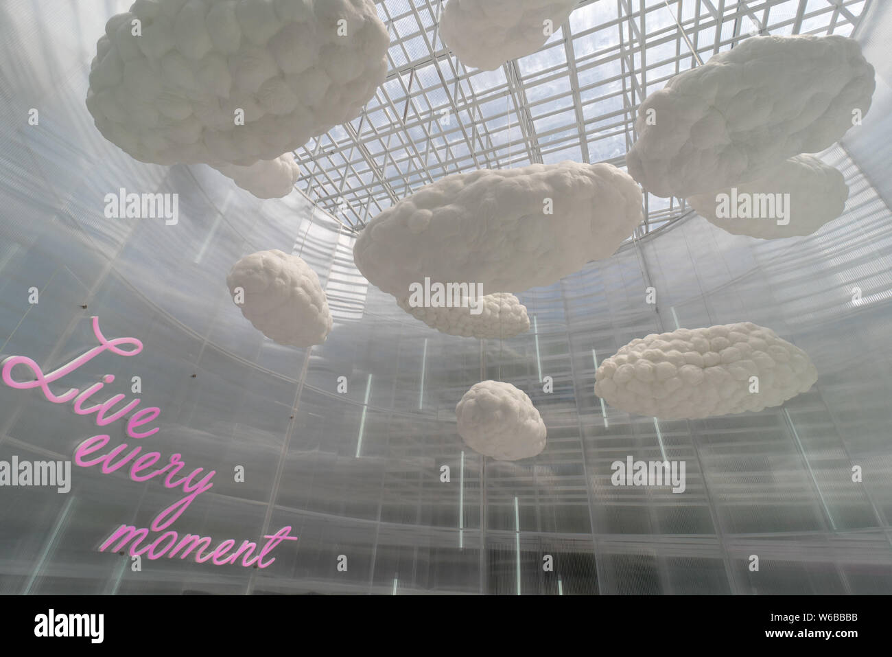 Interior view of a white cube installation with 22 SLR cameras inside ...