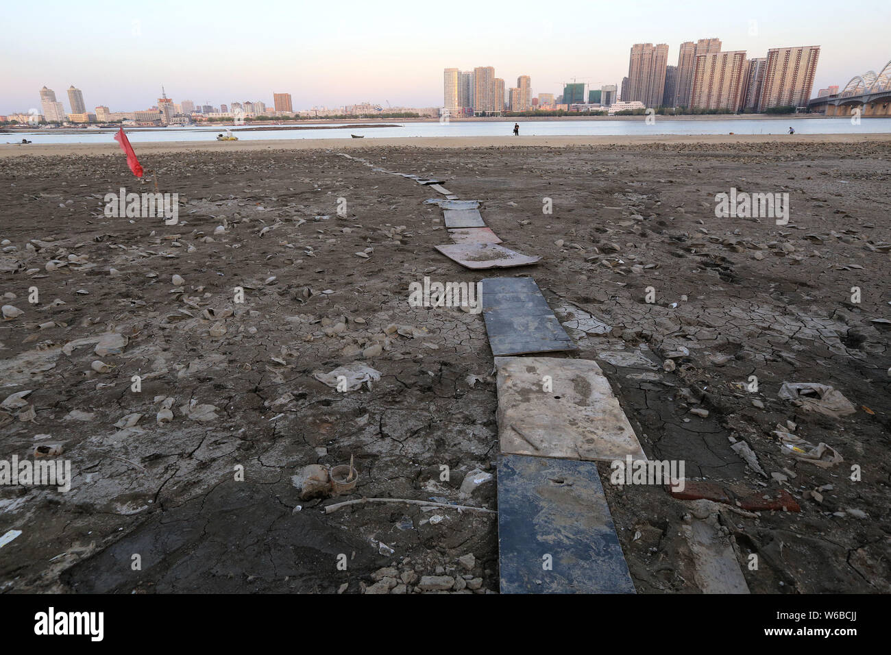 Dead clams hi-res stock photography and images - Alamy