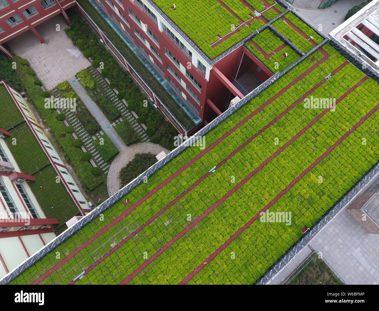 An aerial view of rooftop greening on buildings in Zhengdong New Area ...