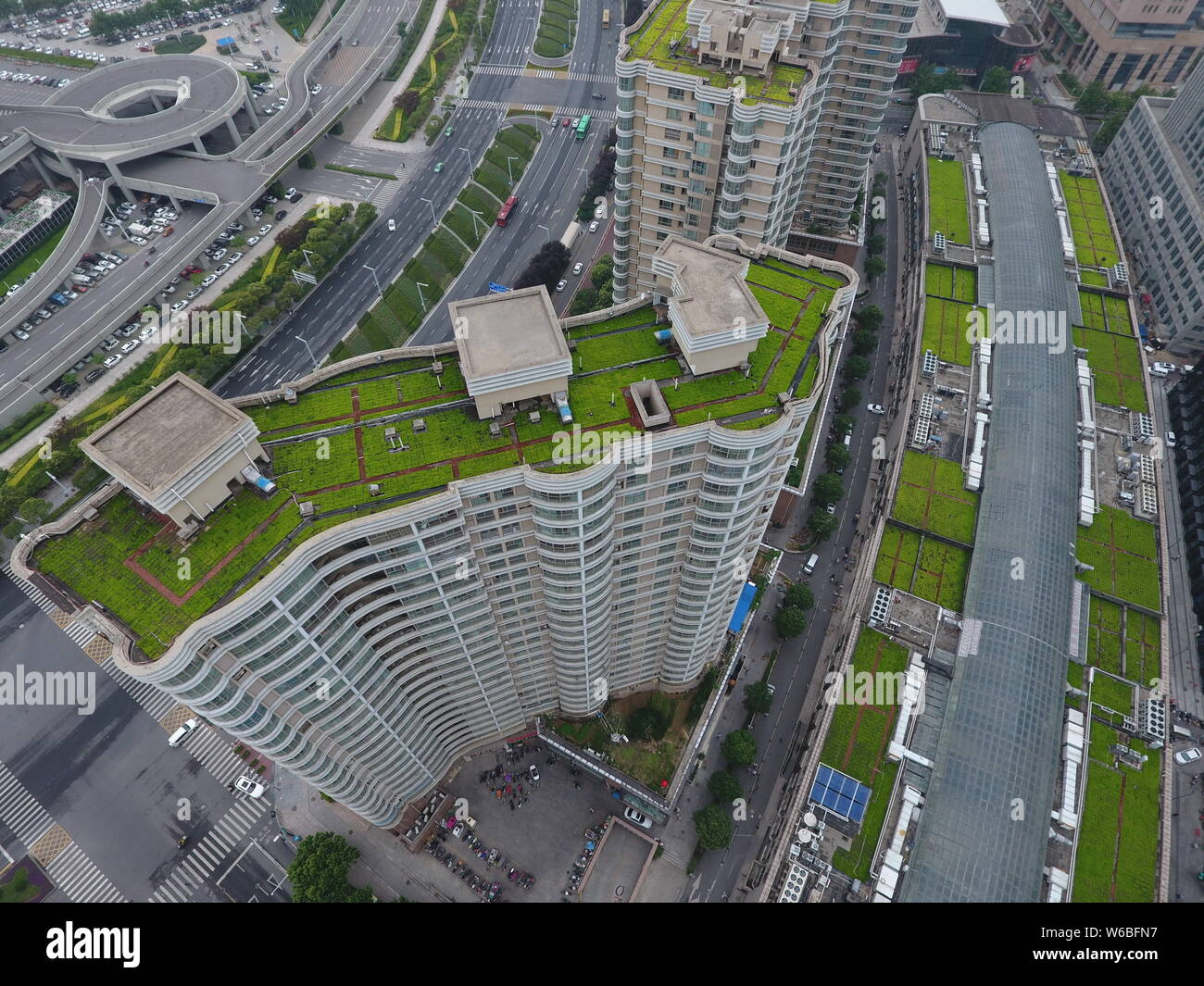 An aerial view of rooftop greening on buildings in Zhengdong New Area ...